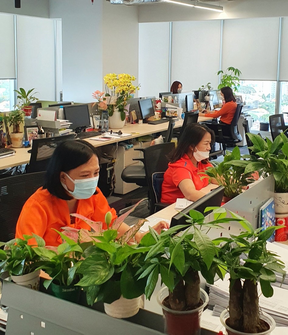 Bộ phận CSKH Viettel Thành phố Hồ Chí Minh với Phong trào thi đua trồng cây xanh. - Cổng thông ...